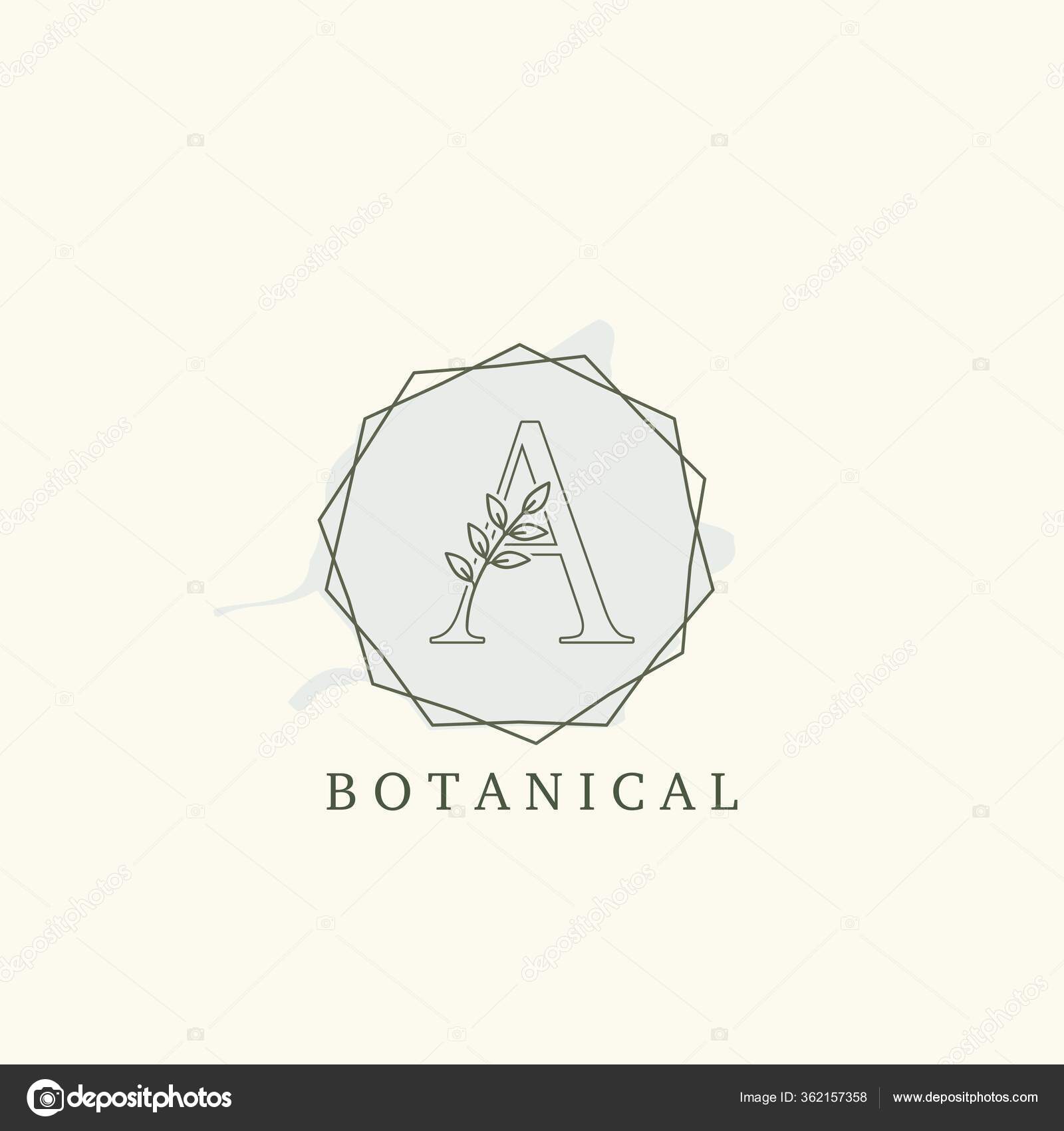 Botanical Leaf Initial Letter Logo Vector Logo Design Concept Hexagon ...