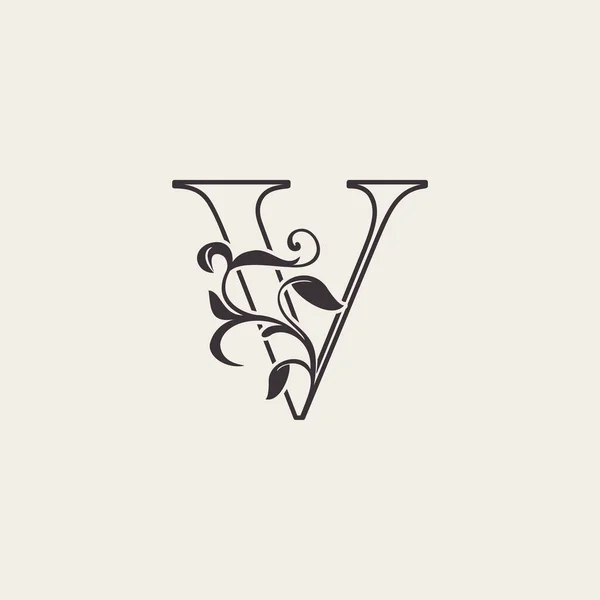 Fancy Letter V Designs