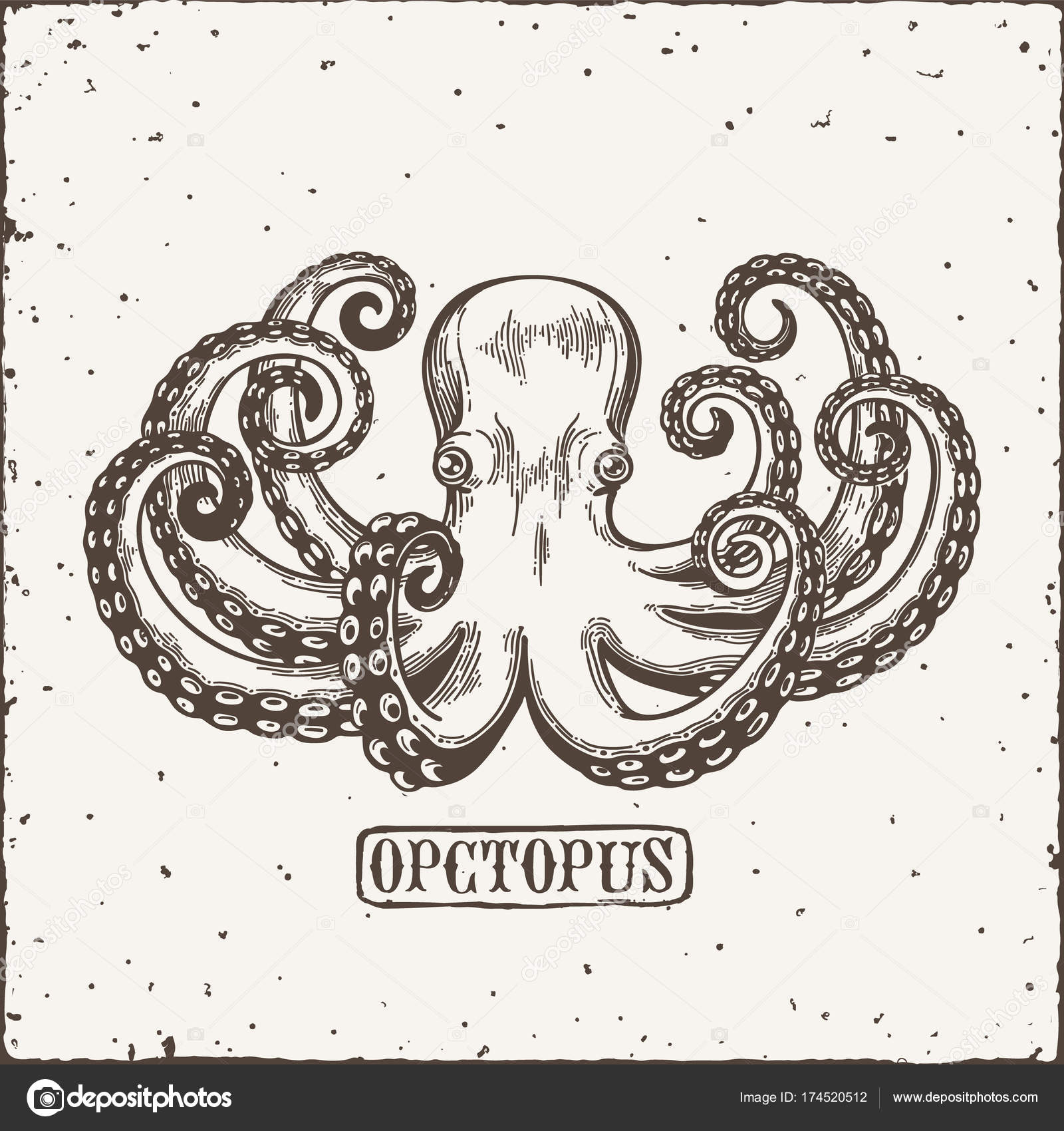 Octopus engraving. Vintage black engraving illustration. Retro style ...