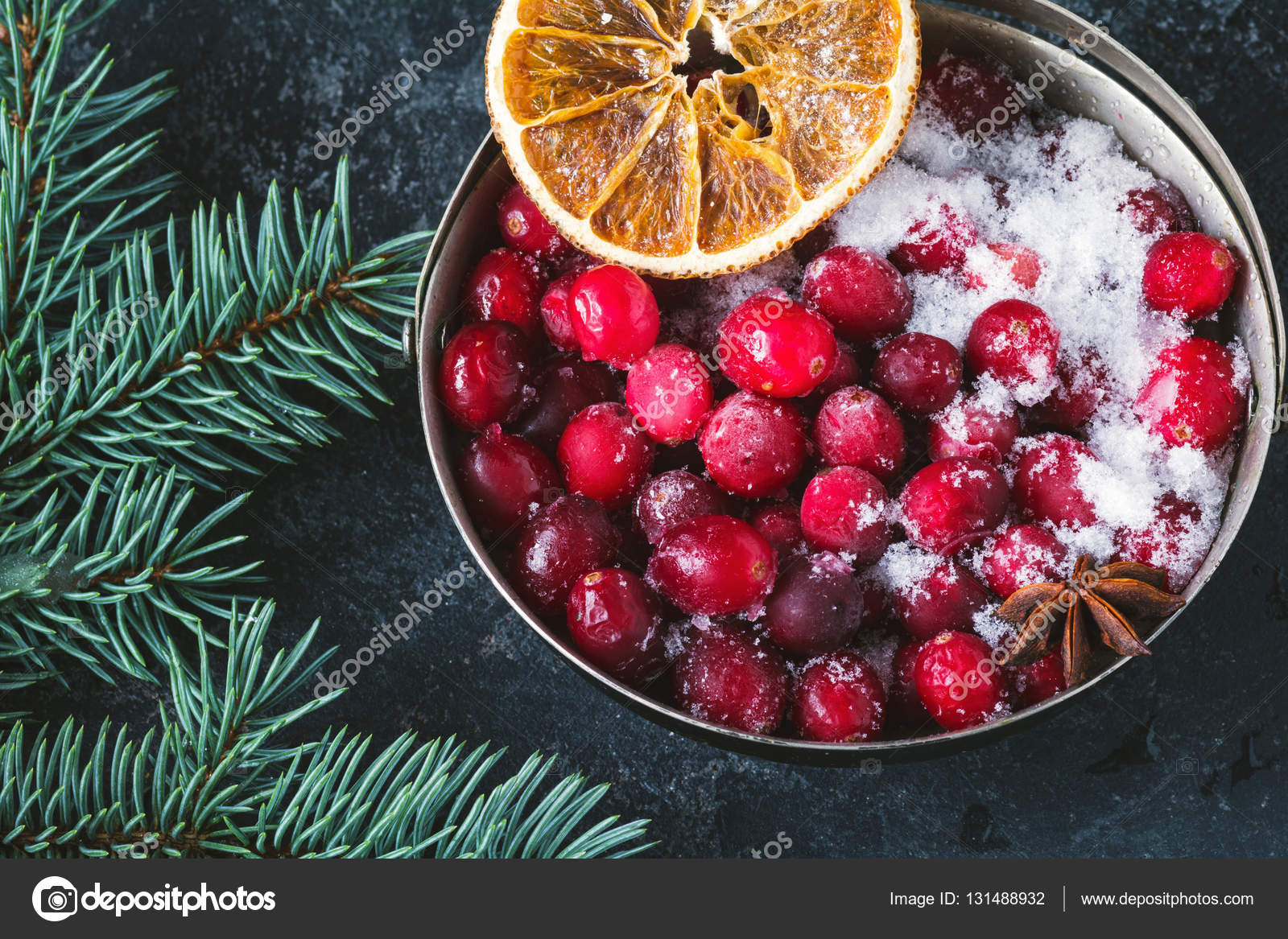 Cranberry Tree Winter