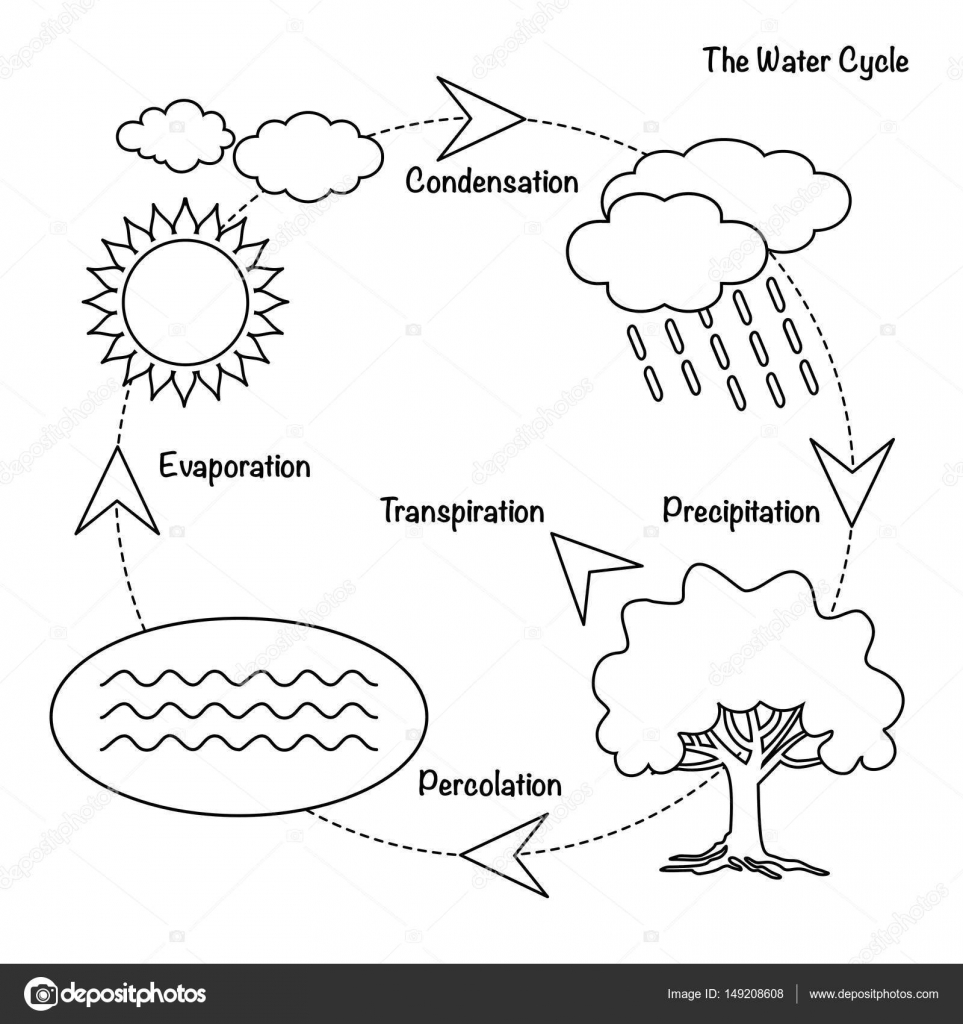 The Water Cycle Stock Vector by ©3xy 149208608 The Water Cycle Stock Vector by ©3xy 149208608