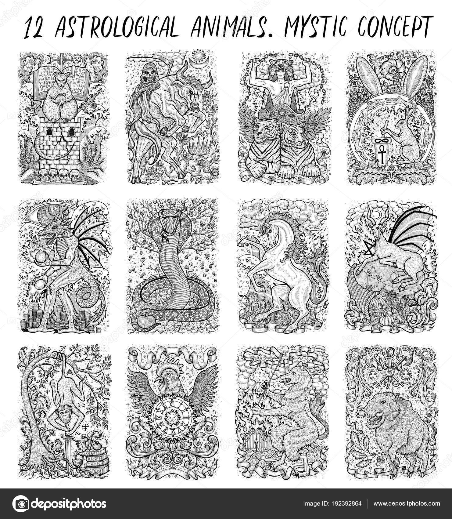 Collection Twelve Astrological Animals Fantasy Engraved Illustrations ...