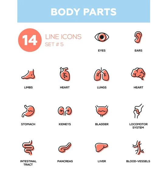 Body parts Vector Art Stock Images | Depositphotos