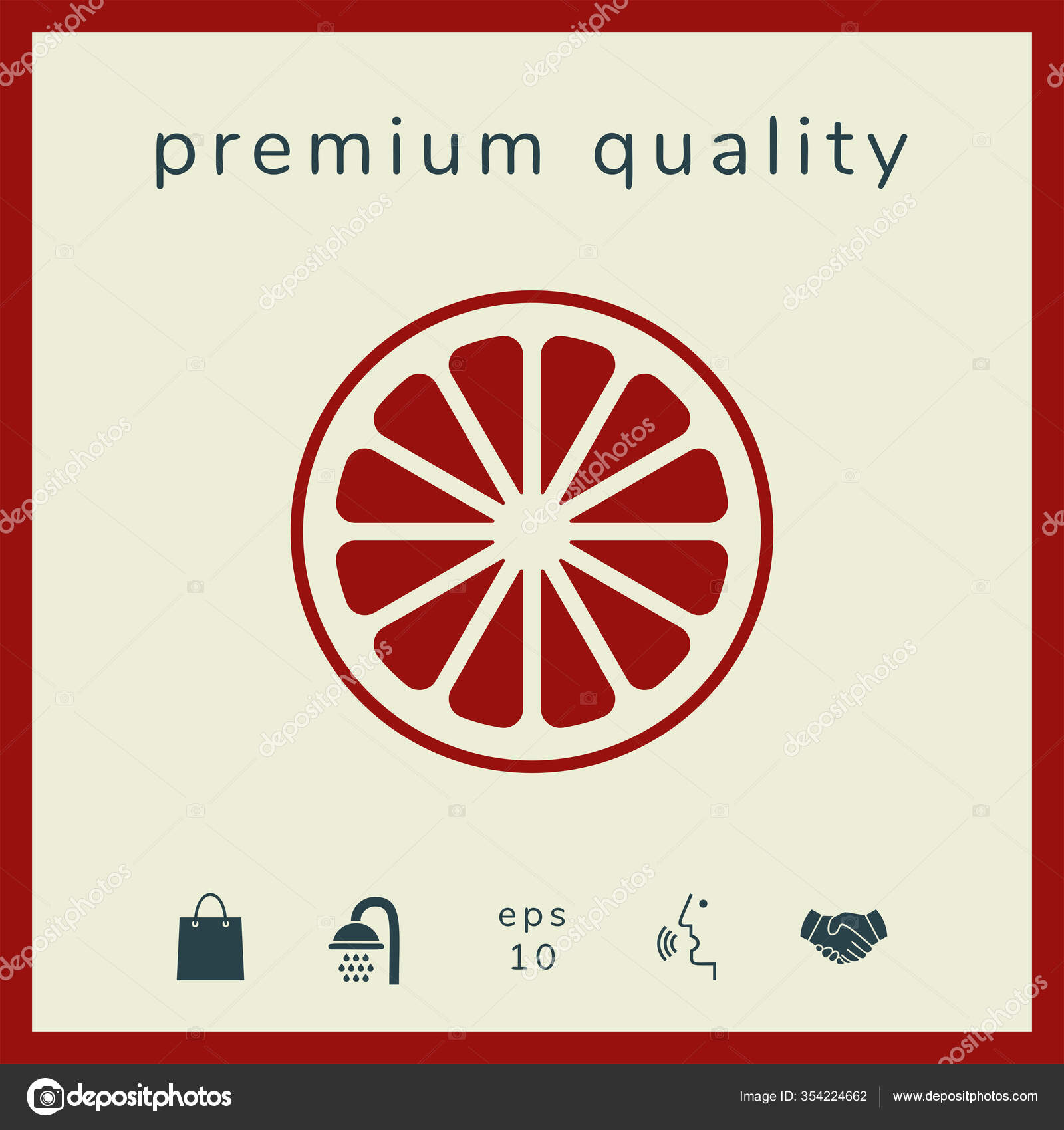 Slice Lemon Orange Other Citrus Fruit Icon Signs Symbols Your — Stock ...