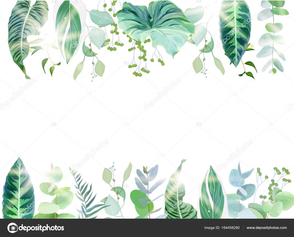 Exotic tropical border frame arranged from plants and palms. — Stock ...