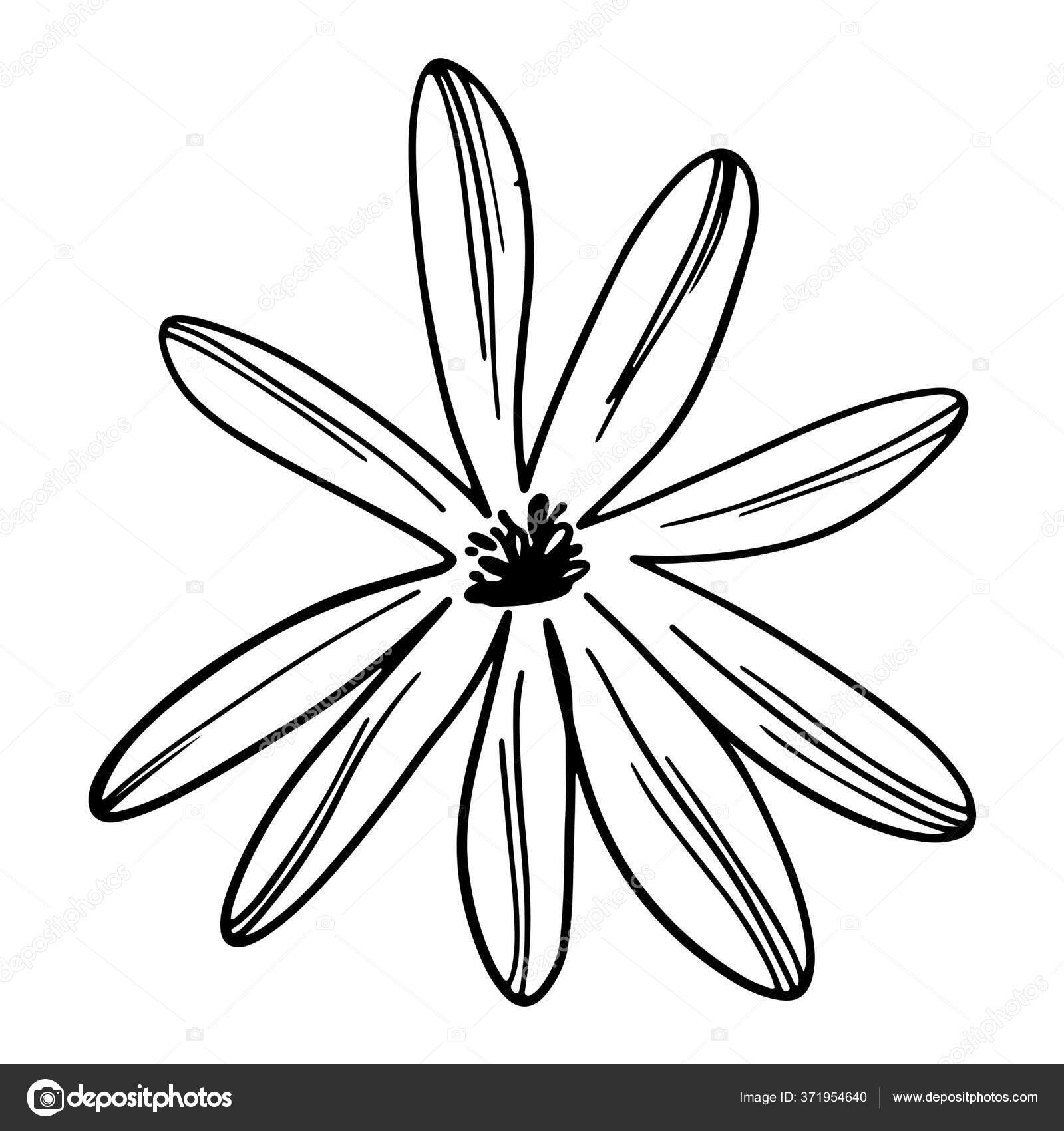 Cute Flower Designs To Draw On Paper