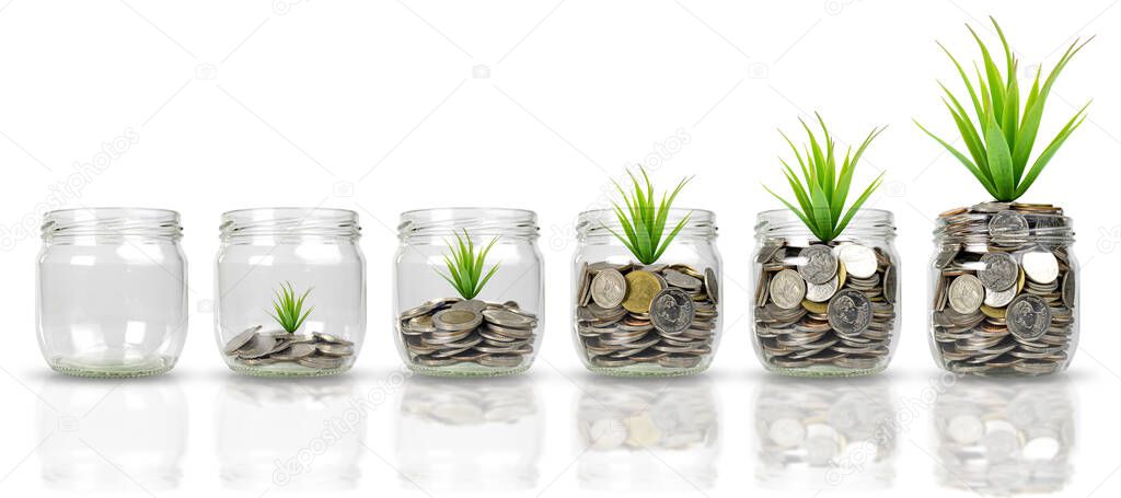 Plantas que crecen en pilas de monedas en frascos de vidrio aislados ...