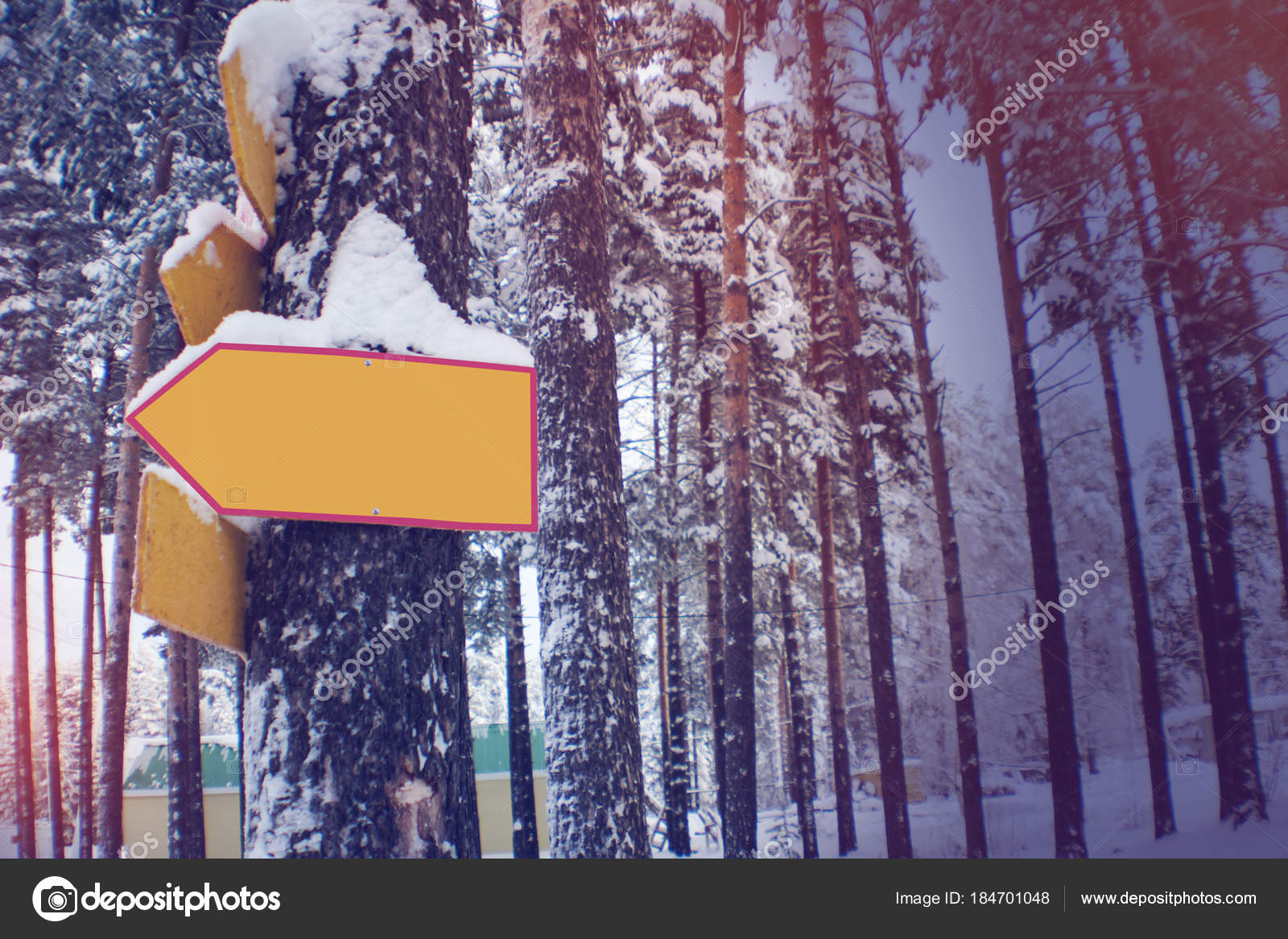Empty Sign Pointer Nailed Tree Winter Background Vintage — Free Stock ...