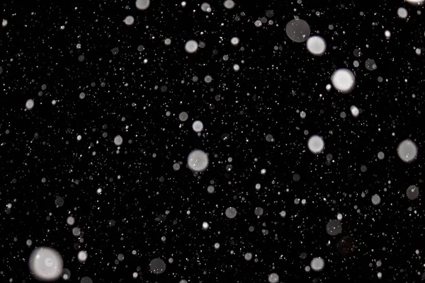 Snow Black Background — Free Stock Photo © vapm #184797144