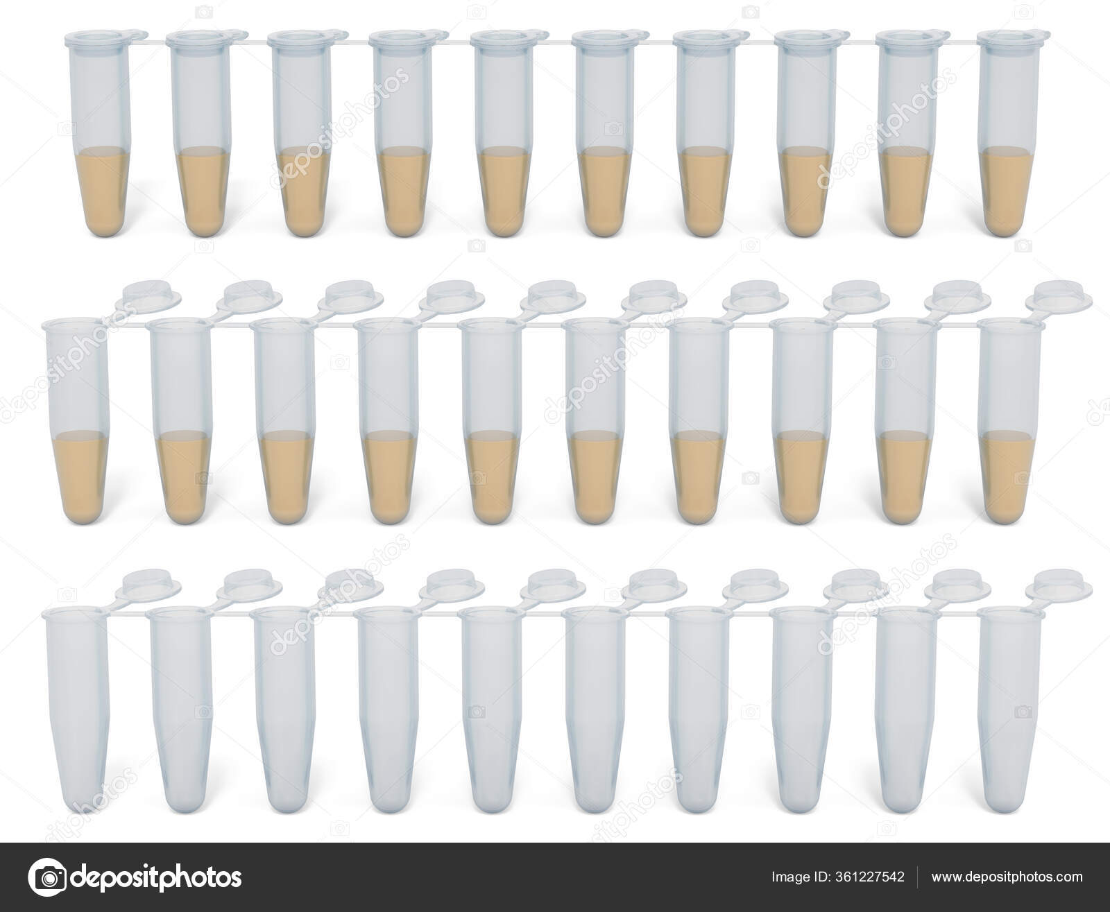 Pcr Tubes Attached Lids Opened Lids Closed Pcr Tubes Lids Stock Photo ...
