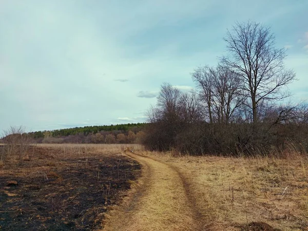 Burnt grass Stock Photos, Royalty Free Burnt grass Images | Depositphotos