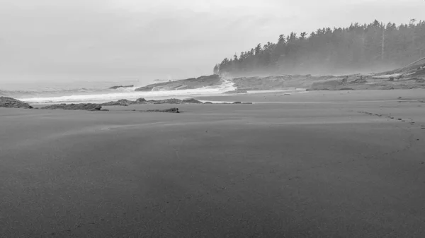Washington beach Stock Photos, Royalty Free Washington beach Images ...
