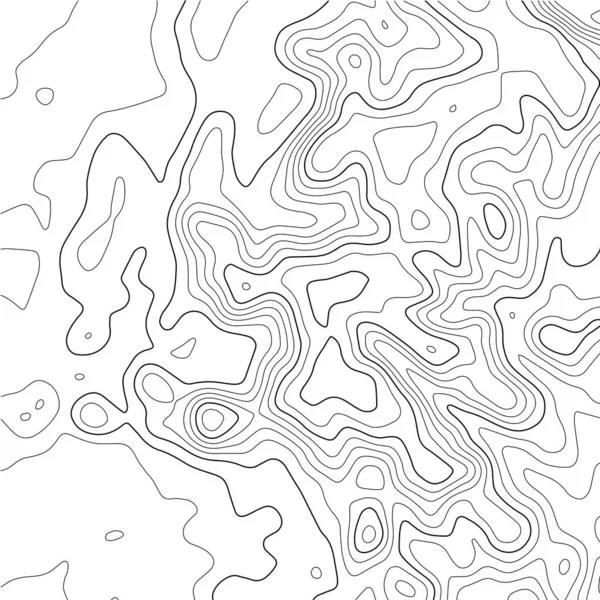 Topographic Map Background Grid Map Abstract Vector Illustration Stock ...