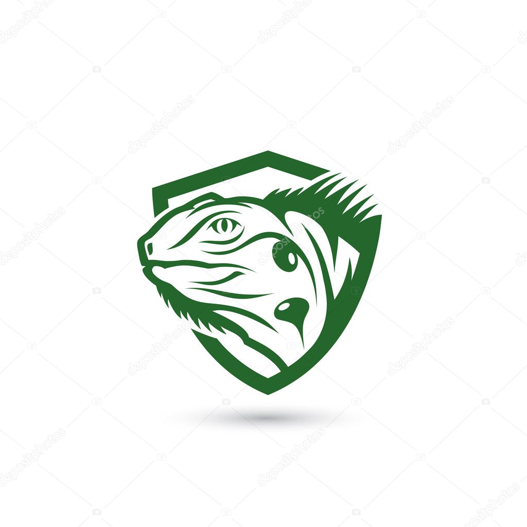 Iguana symbol illustration — Stock Vector © I.Petrovic #128472684