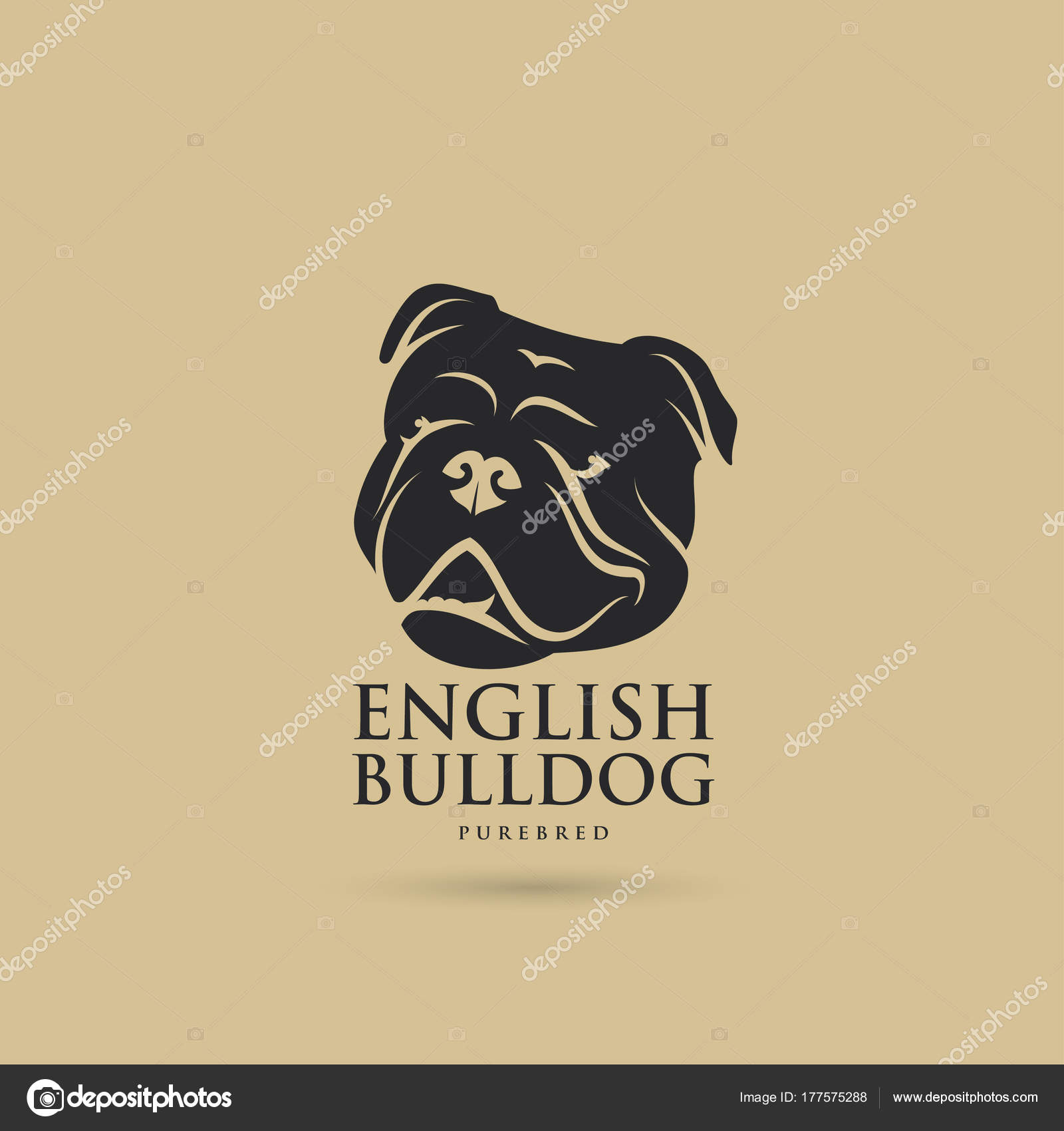 English Bulldog Design Vector Illustration Stock Vector by ©I.Petrovic ...
