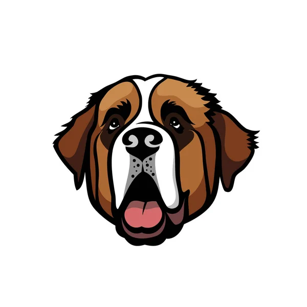 St bernard Vector Art Stock Images | Depositphotos