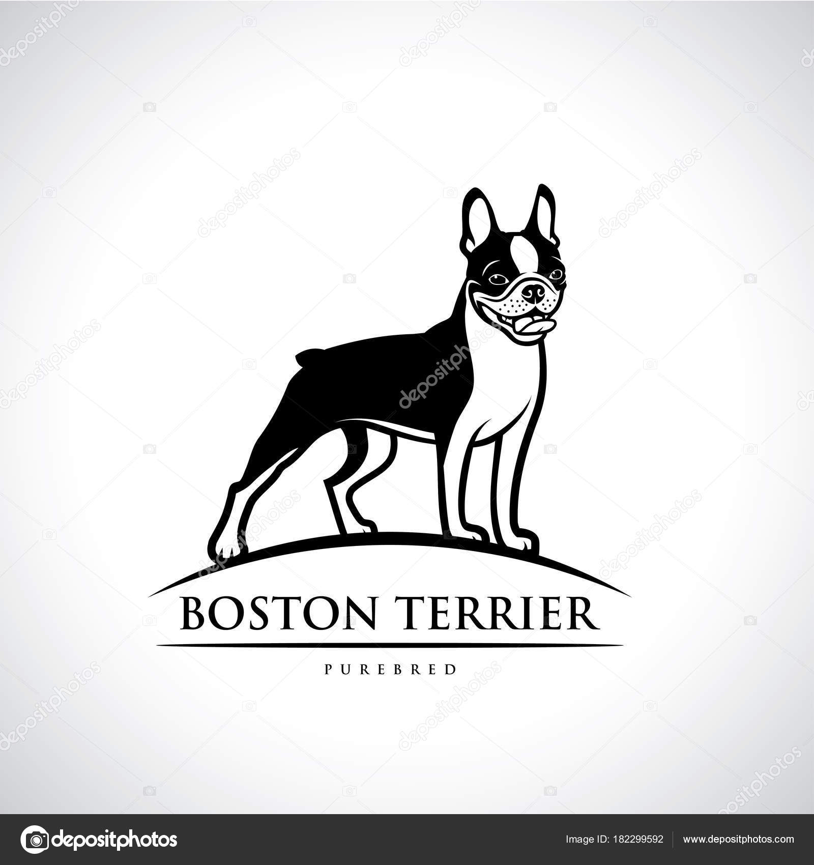 Boston Terrier Dog Logo Vector Illustration Stock Vector Image by ©I ...