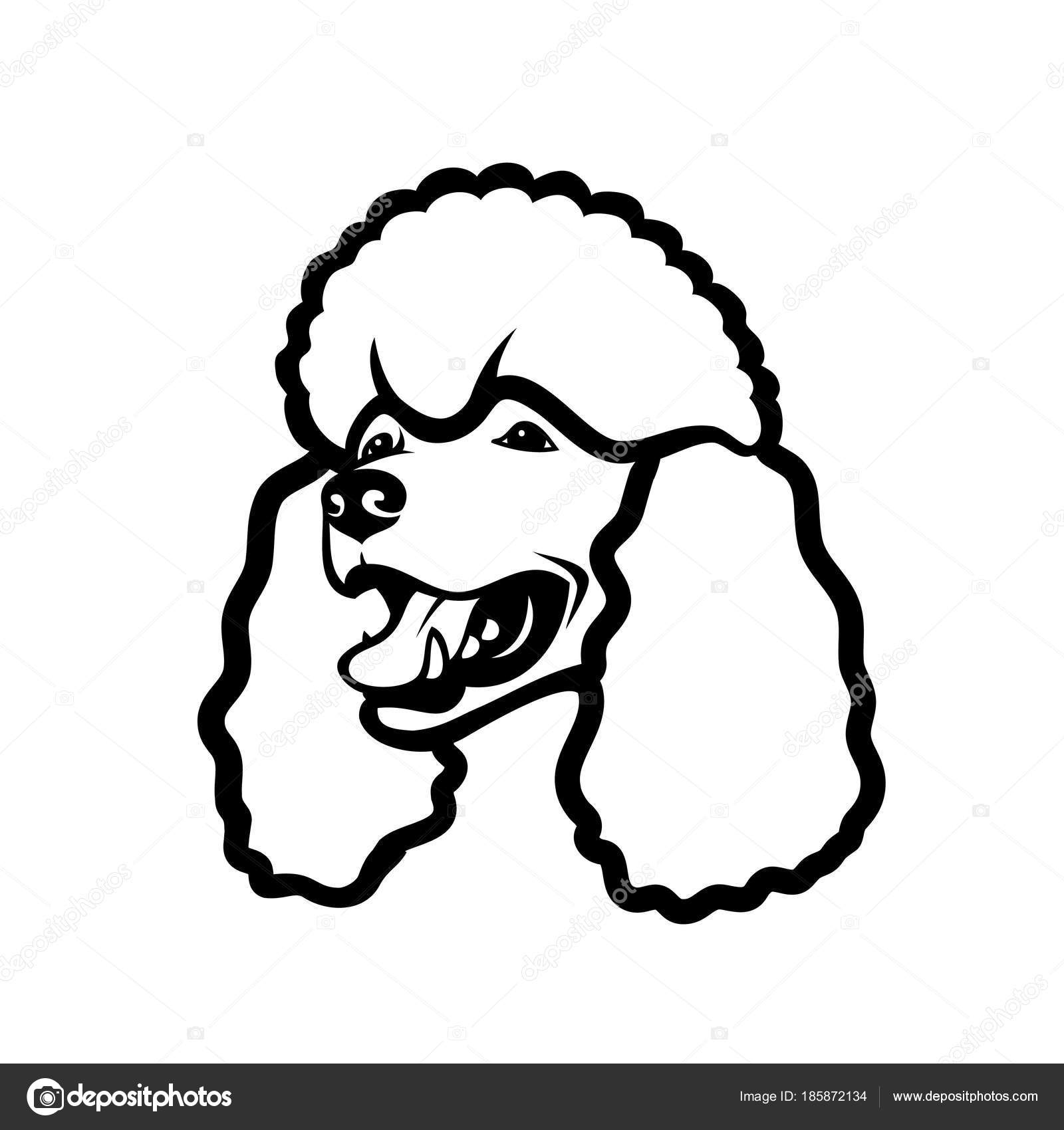 Poodle Drawing Outline