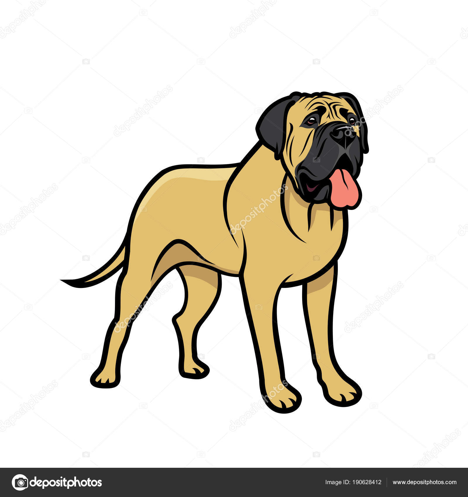 What Colors Are English Mastiffs