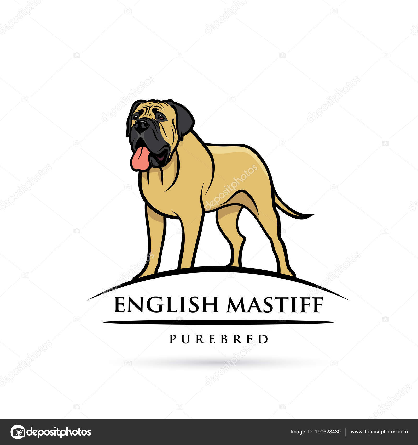 What Colors Do English Mastiffs Come In