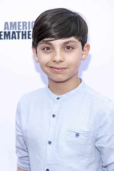 Melladura grisea fotos de stock, imágenes de Melladura grisea sin ...