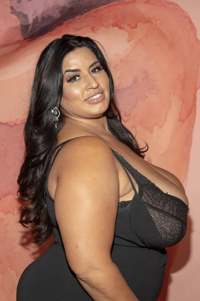 Rose sofia Stock Photos, Royalty Free Rose sofia Images | Depositphotos