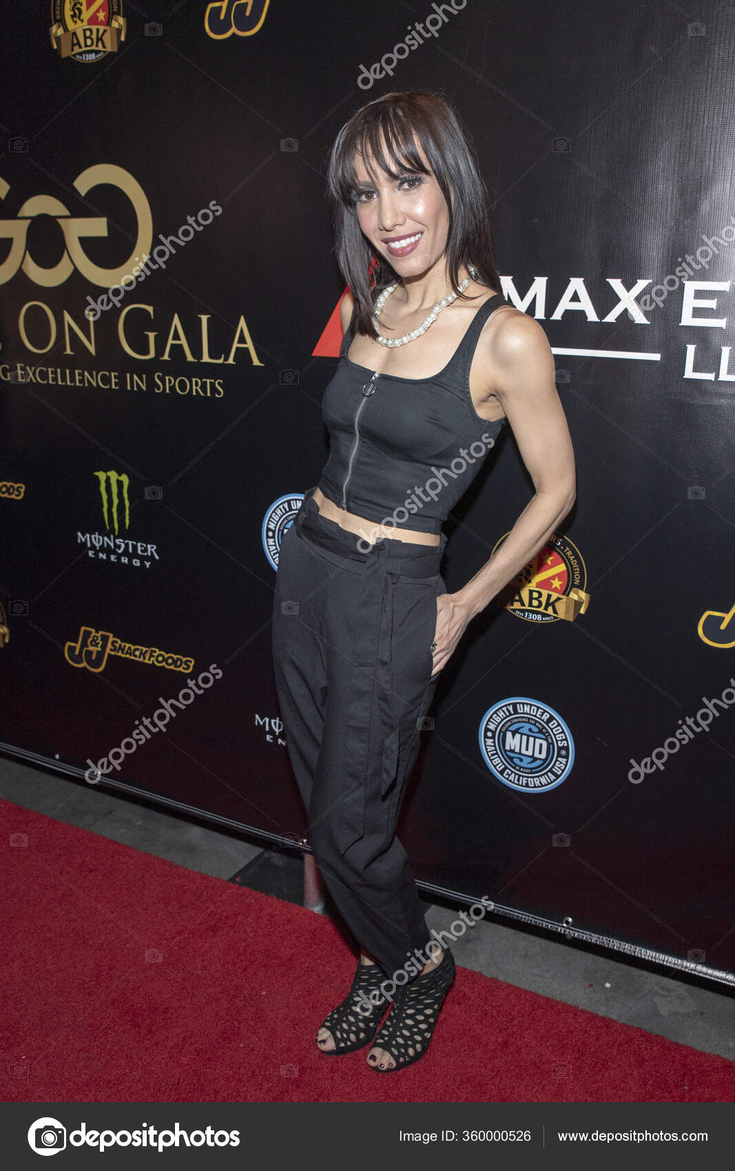 Jessica Ross Attends 2Nd Annual Espy Game Gala Hotel Hollywood – Stock ...