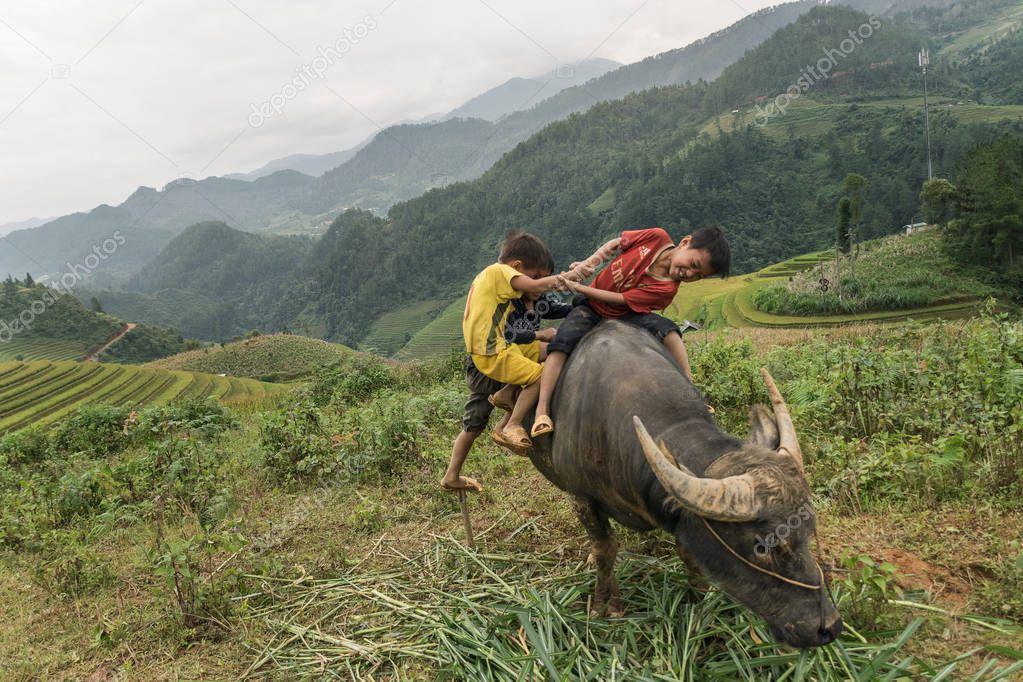 Two asian boys sitting on bull — Stock Editorial Photo © NJPhoto #130261802