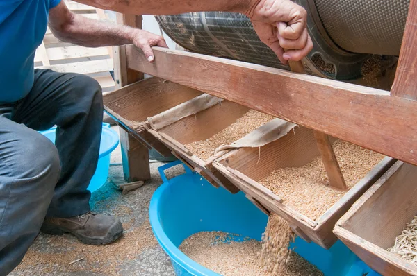 Milling corn Stock Photos, Royalty Free Milling corn Images | Depositphotos