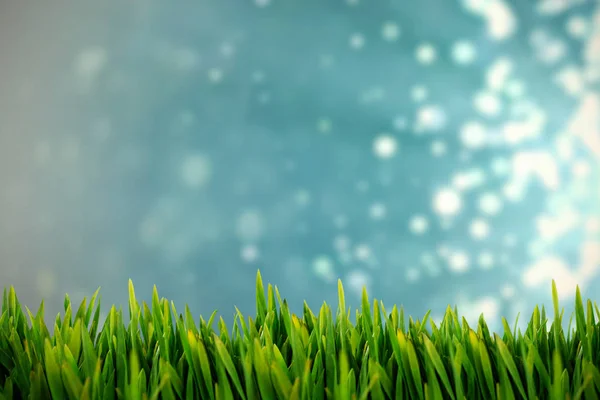 Grass growing against light design Stock Photo by ©vectorfusionart ...