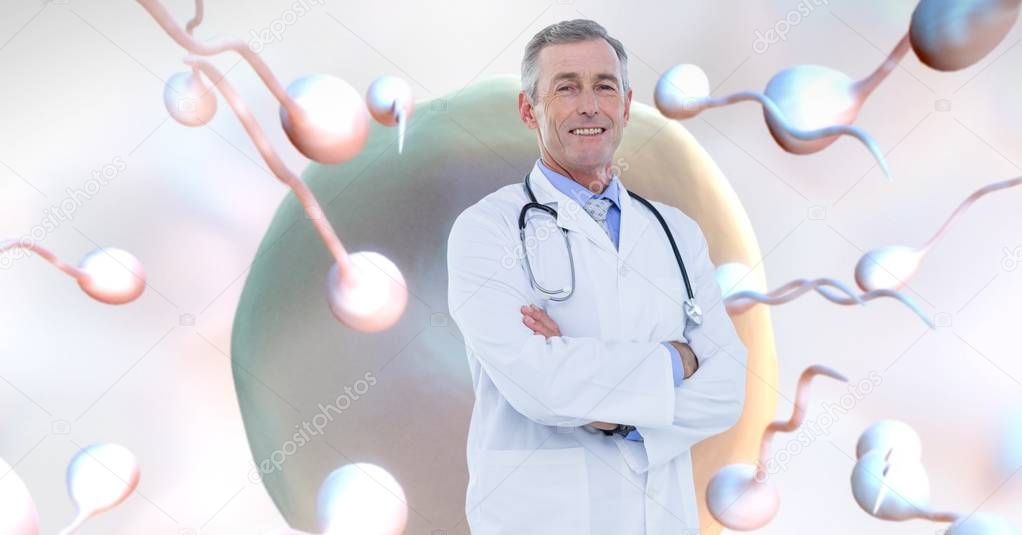 Compuesto digital de Doctor con reproducción de espermatozoides ovario para planificación ...