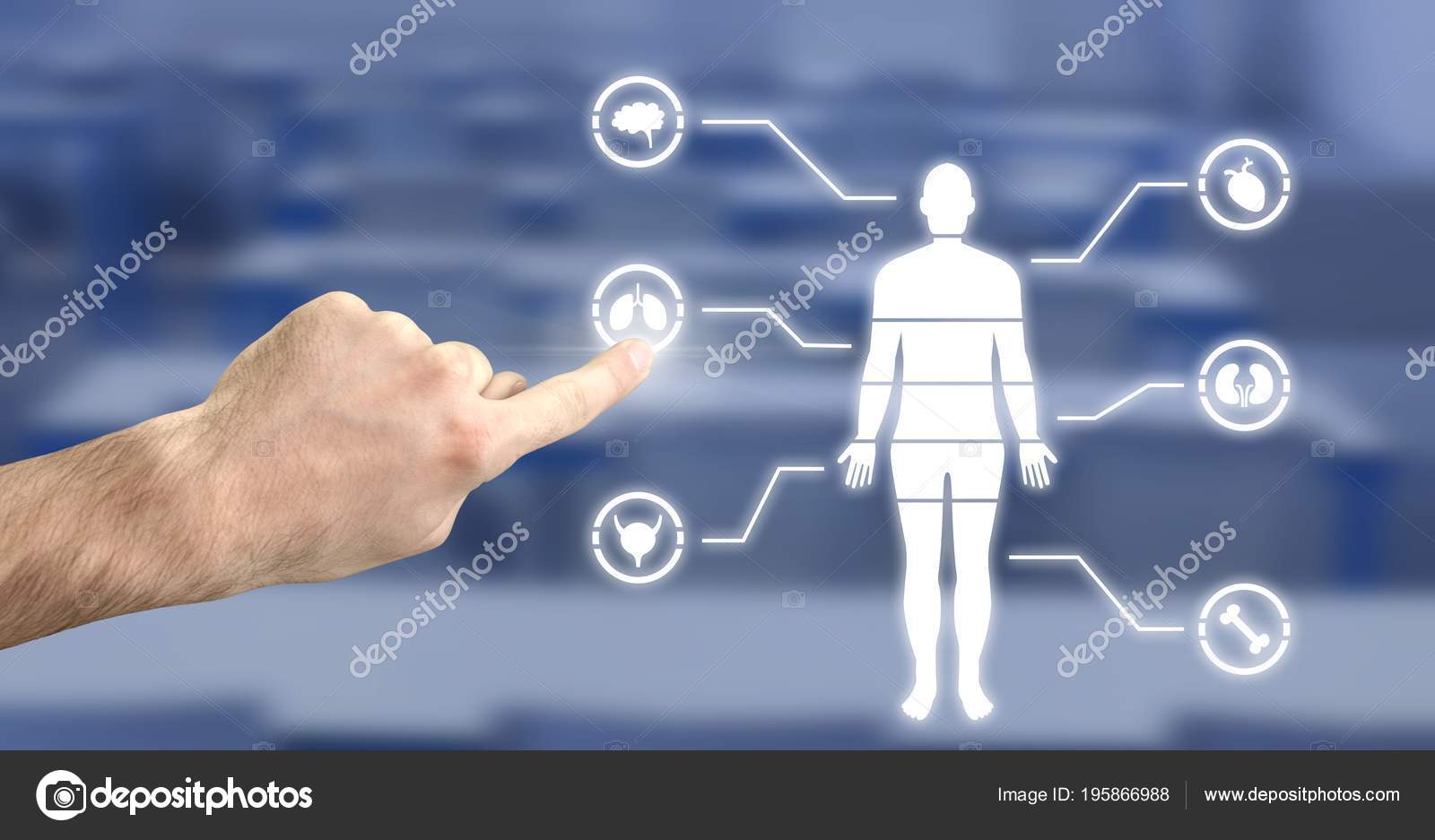 Digital Composite Human Body Chart Hand Touching Stock Photo by ...