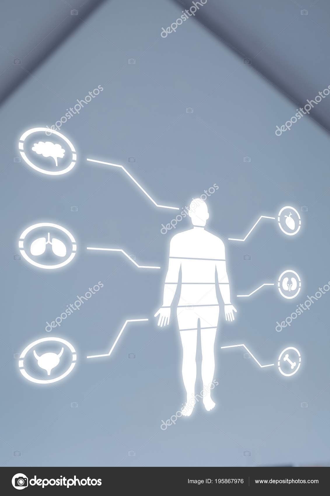 Digital Composite Human Body Chart Education Stock Photo by ...