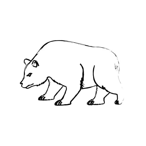 Medve rajz Stock vektorok, Medve rajz Jogdíjmentes illusztrációk ...