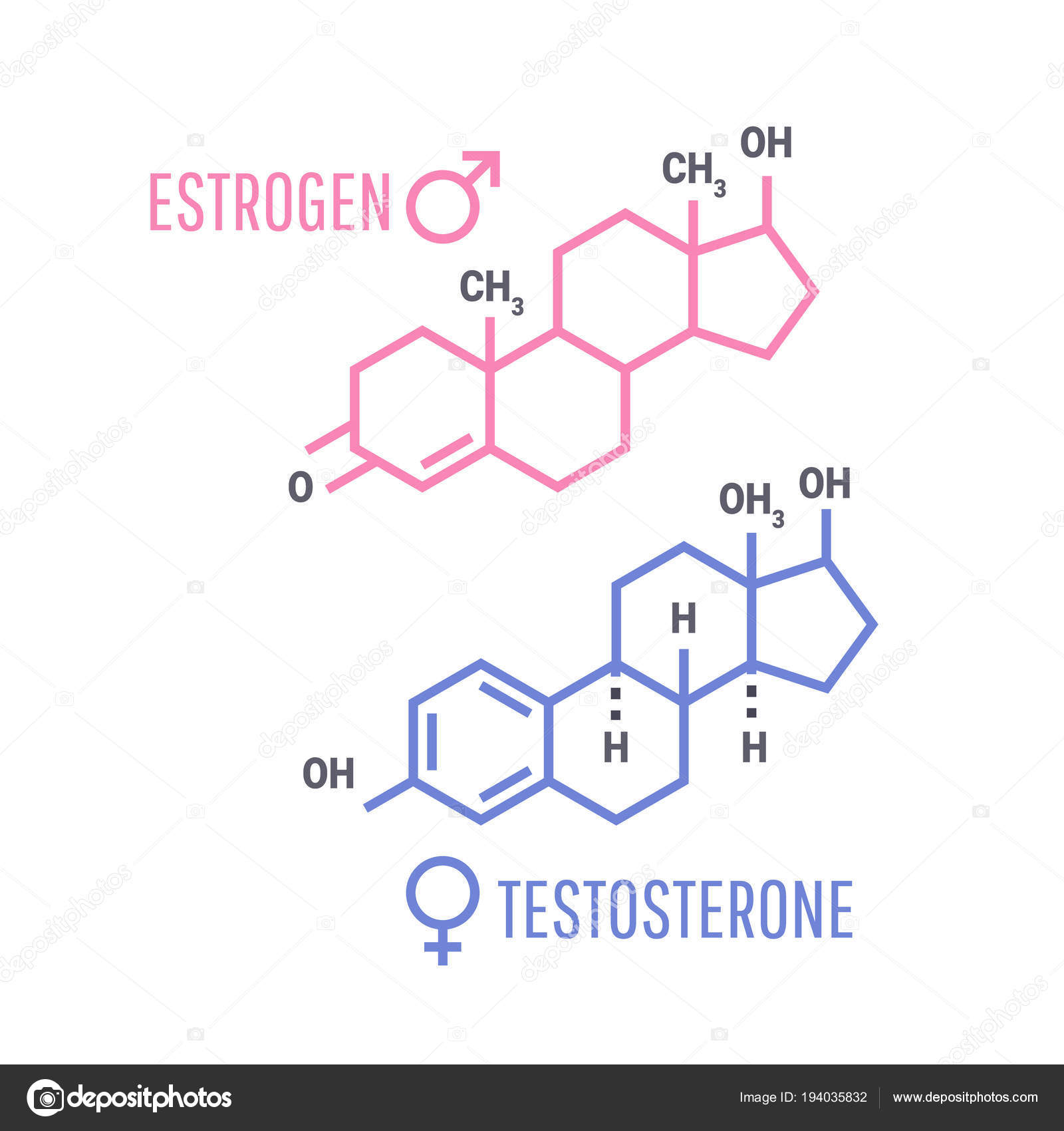 Sex Hormones Molecular Formula — Stock Vector © Irinashatilova 194035832