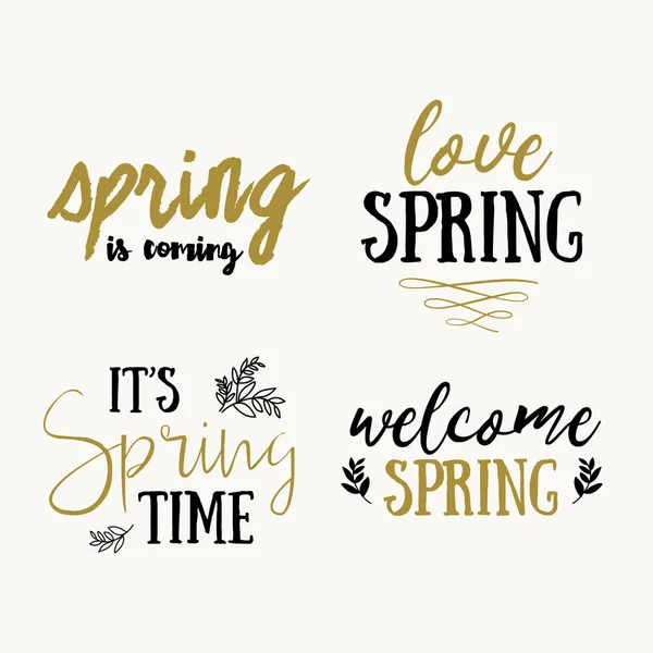 Its spring time lettering greeting cards set. Vector Special spring ...