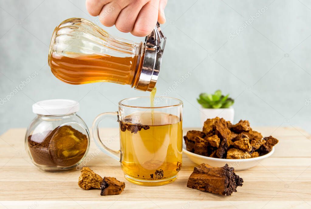 Persona hacer bebida de té con el hongo Chaga natural salvaje de abedul ...