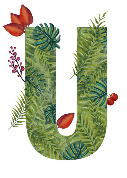 U indy logo Stock Photos, Royalty Free U indy logo Images | Depositphotos