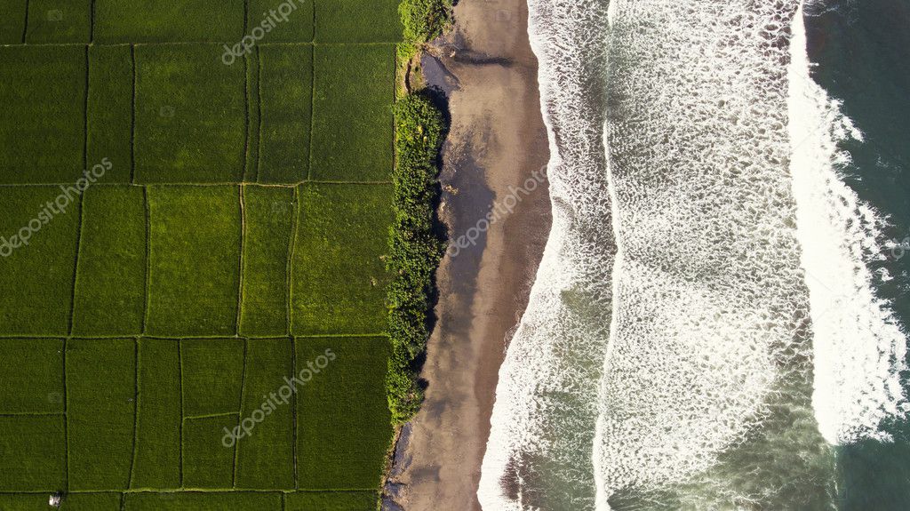Top view from drone of beautiful paddy fields increasing in semi ...