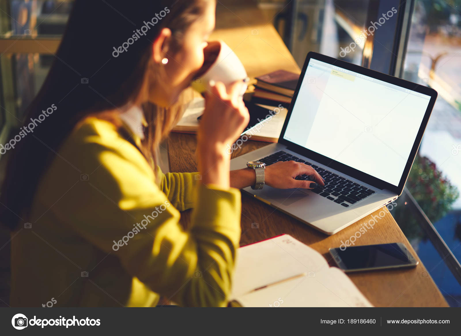 Back View Brunette Female Entrepreneur Browsing Web Page Laptop ...