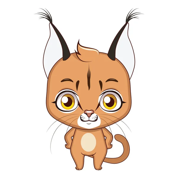 ᐈ Caracal drawing stock drawings, Royalty Free caracal pics | download ...