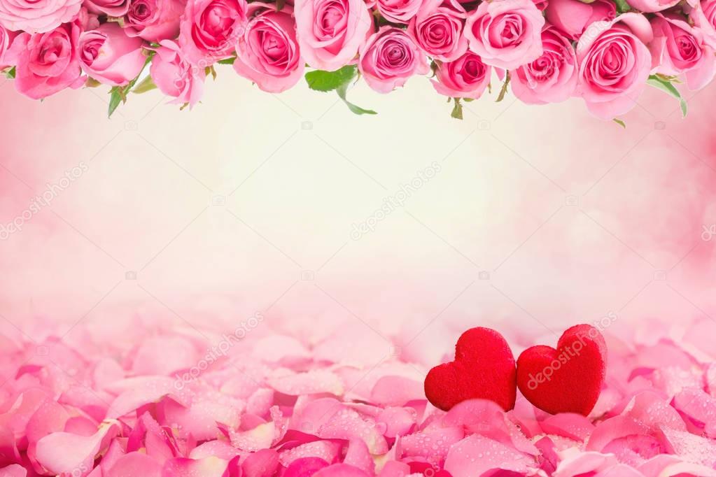 Pink Rose Border Background