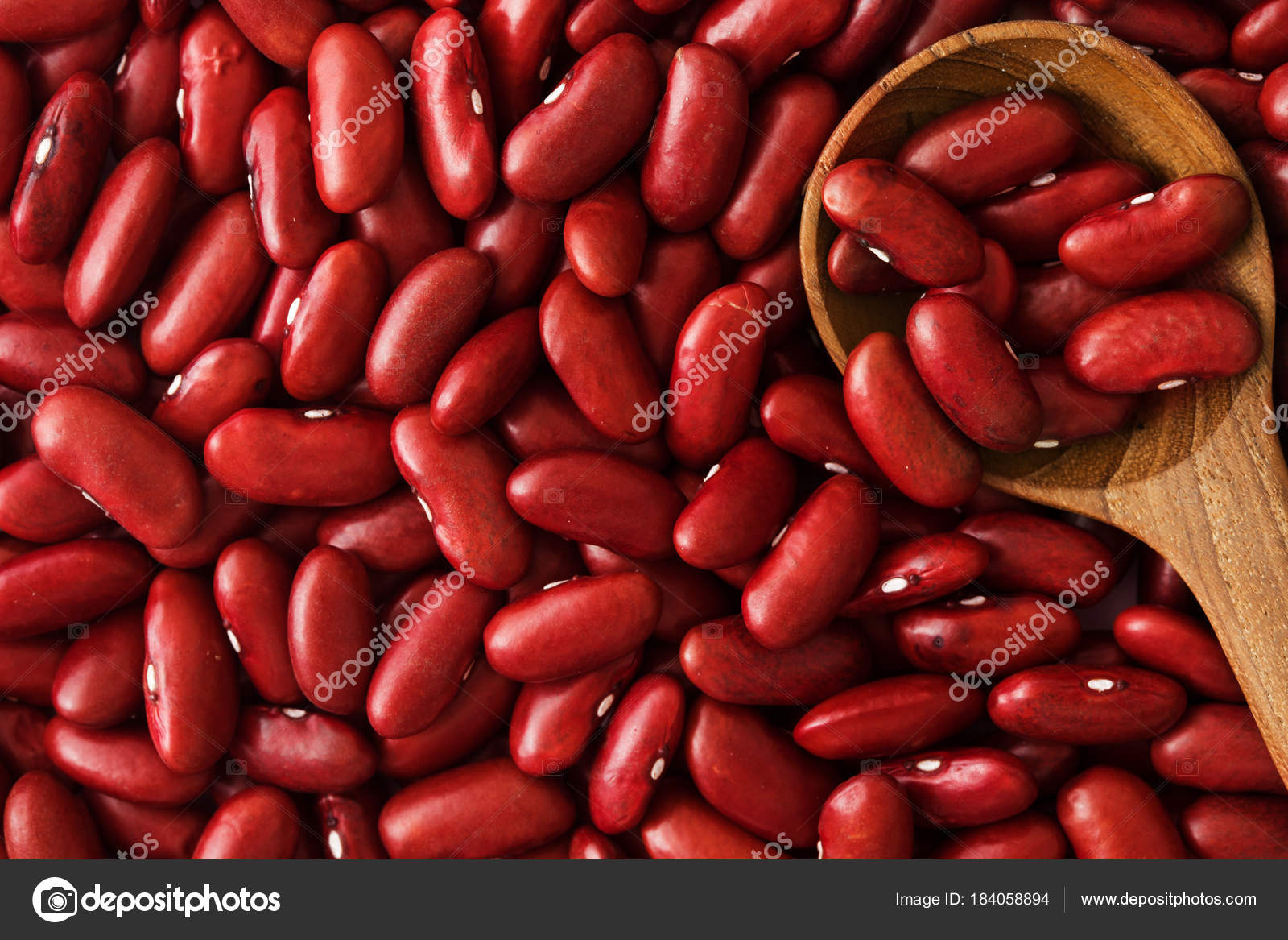 Close up a dark red kidney beans grain seed — Stock Photo © photorista ...