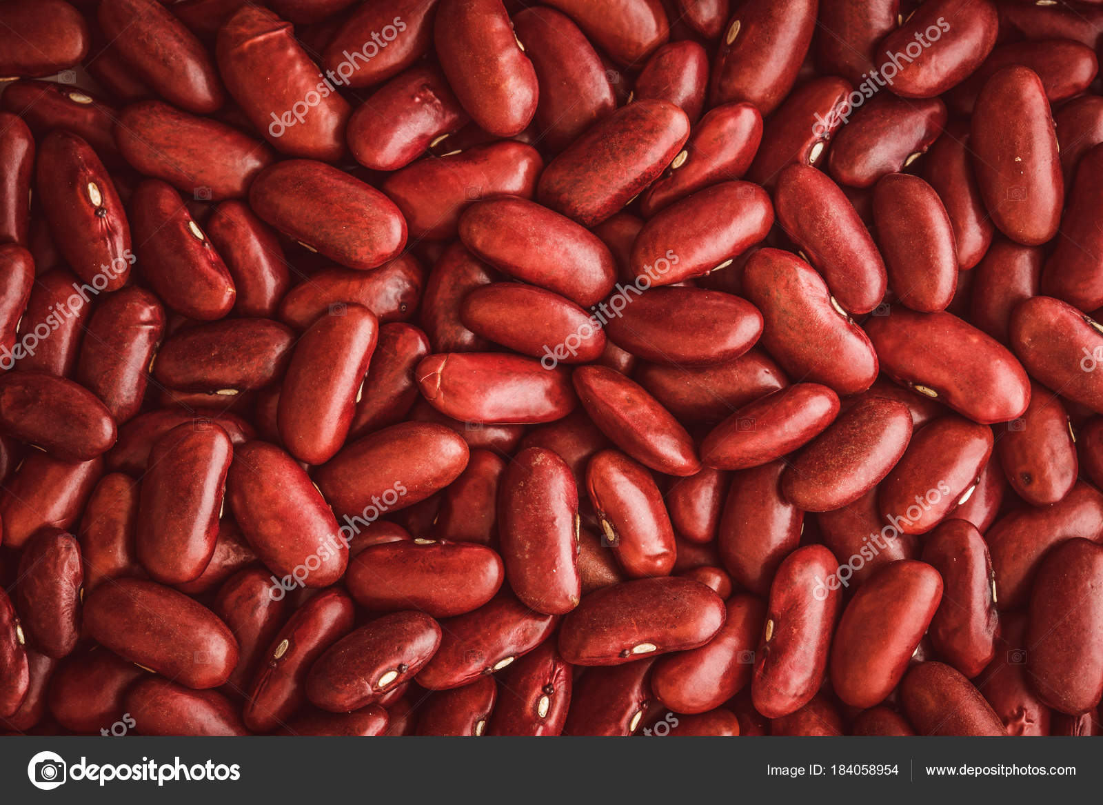 Close up a dark red kidney beans grain seed — Stock Photo © photorista ...
