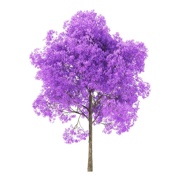 Purple heart tree Stock Photos, Royalty Free Purple heart tree Images ...