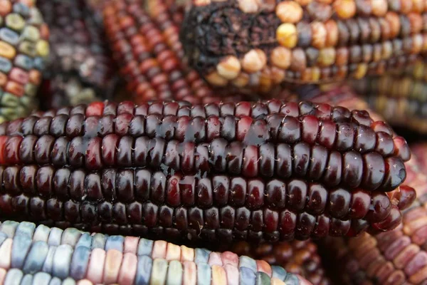 Maiz azul Stock Photos, Royalty Free Maiz azul Images | Depositphotos