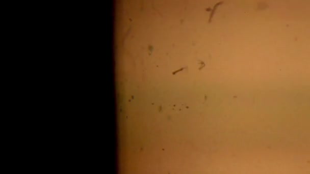 11,552 Vintage old camera Videos, Royalty-free Stock Vintage old camera ...