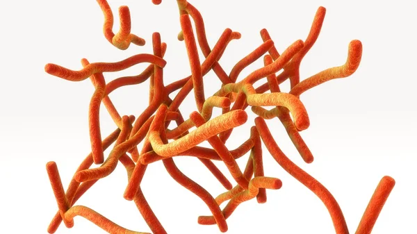 Actinomycetes Stock Photos, Royalty Free Actinomycetes Images ...