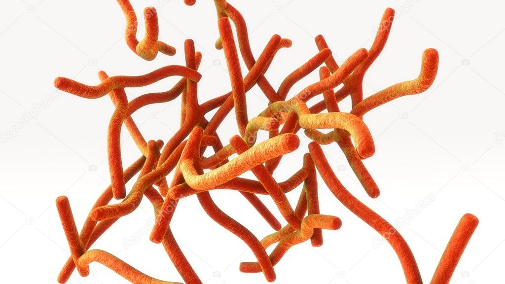 Actinomyces bacteria group — Stock Photo © sciencepics #124929394