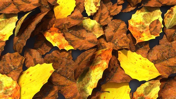 Decomposed tree, plant leaves Stock Photo by ©sciencepics 124933618